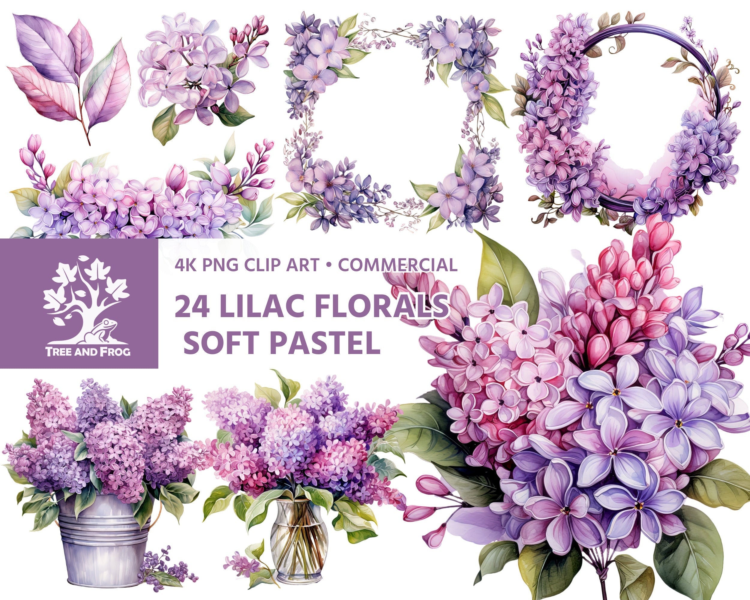 Lilac Bush Drawing