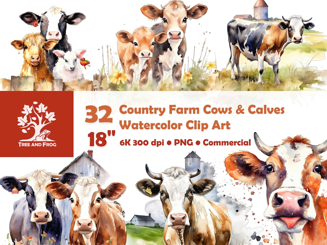 32 PNG Farm Cows Clipart Cute Face Barn Pasture Grazing - Etsy New Zealand