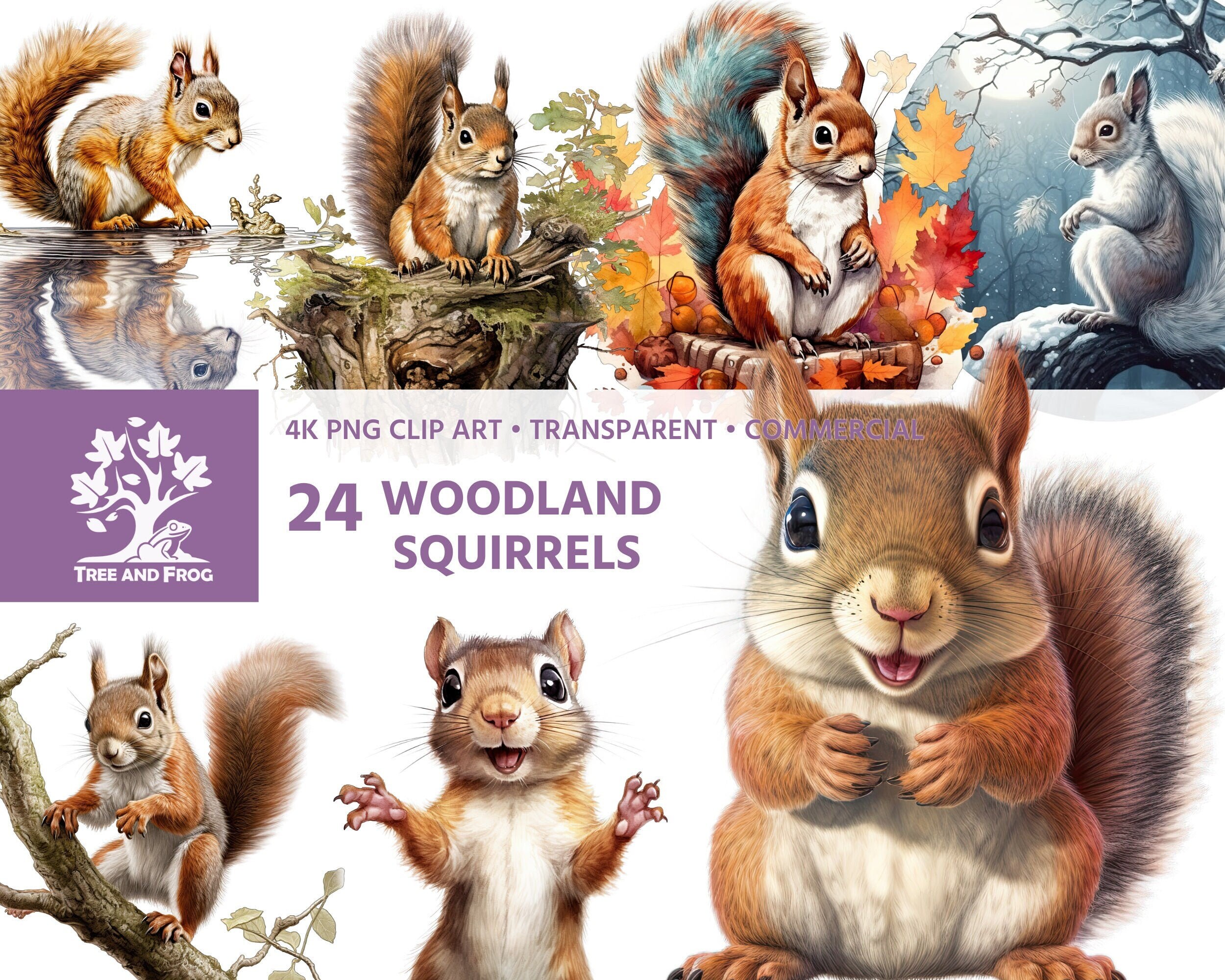 Red Squirrel Footprints Clipart