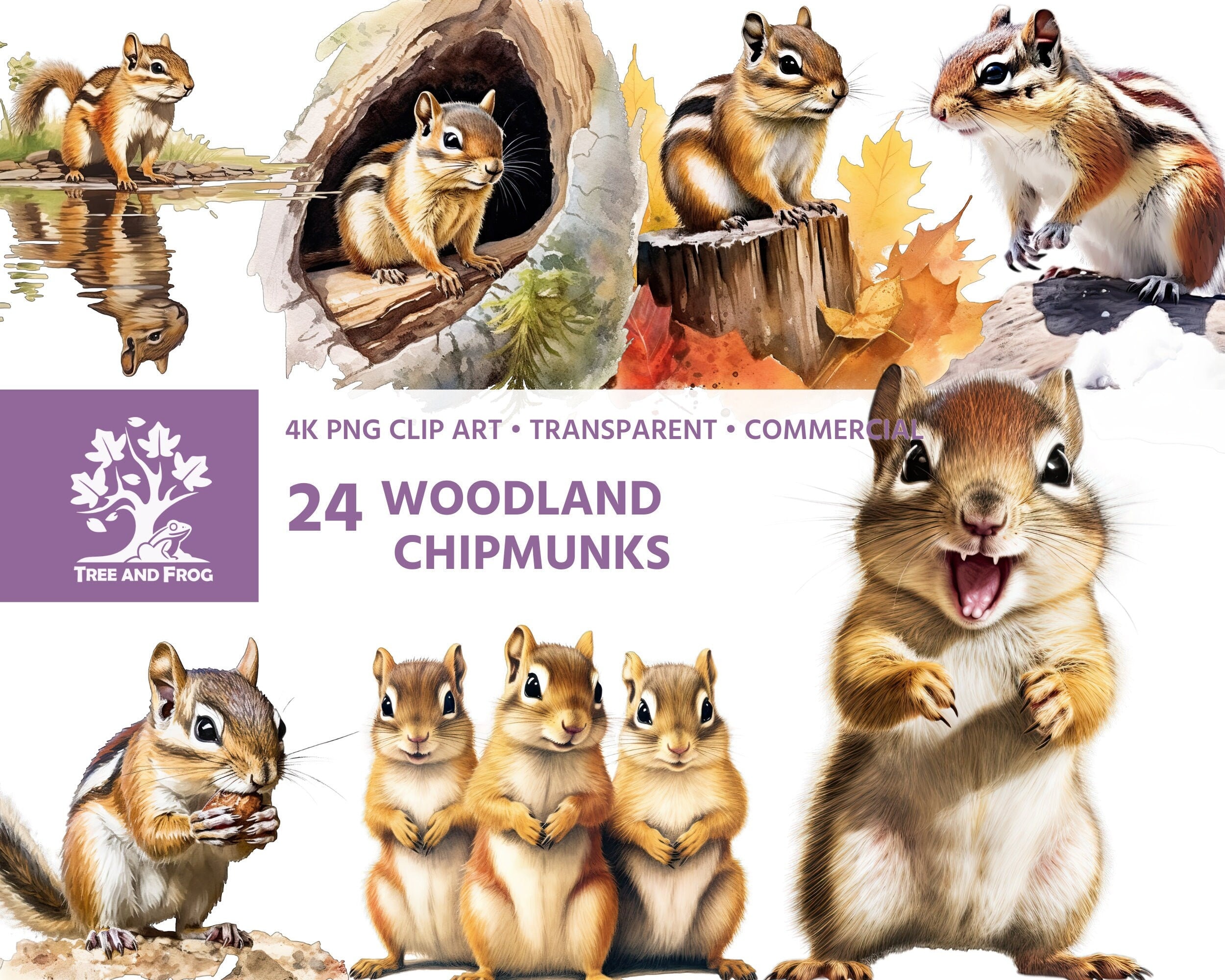 Chipmunk Clipart