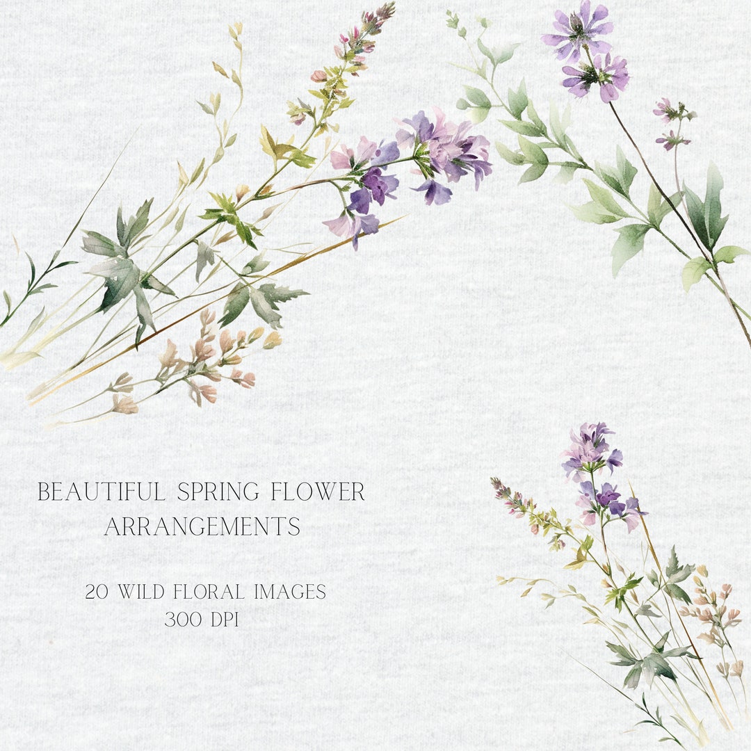 Wildflower Clipart, Watercolor Wildflower Bundle, Designer PNG Bundle ...