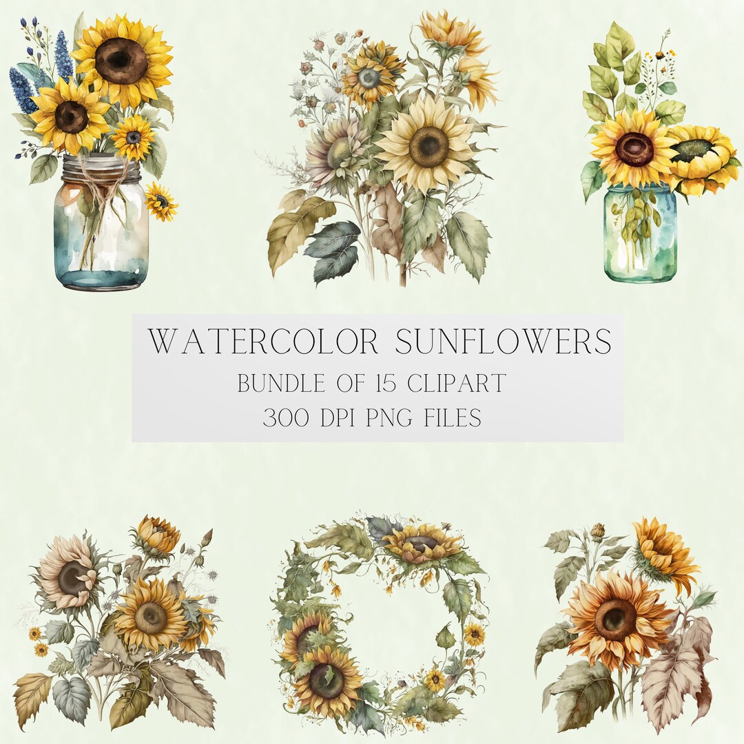 Sunflower Clipart Bundle, Designer PNG Bundle, Watercolor Sunflower ...