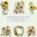 Sunflower Clipart Bundle, Designer PNG Bundle, Watercolor Sunflower ...