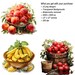 Food Clipart Bundle, Watercolor Food Clipart, Fruit and Vegetable ...