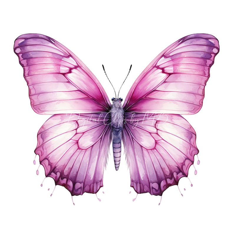Watercolor Butterflies Clipart, Butterfly Clipart, Watercolor PNG ...