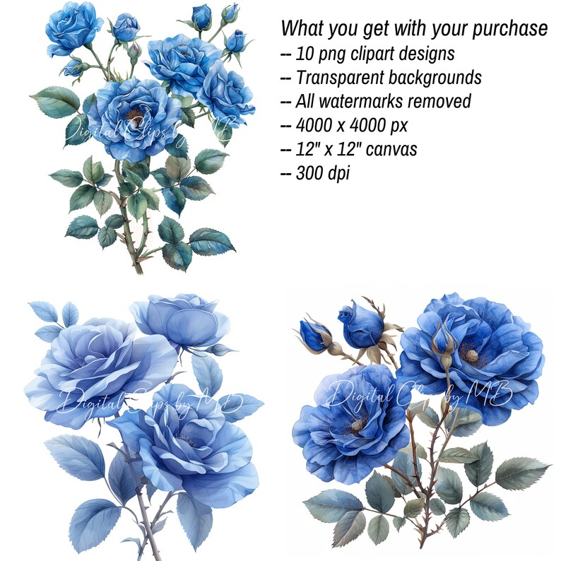 Rose Clipart, Blue Roses Clipart, Watercolor Floral PNG Designs for ...