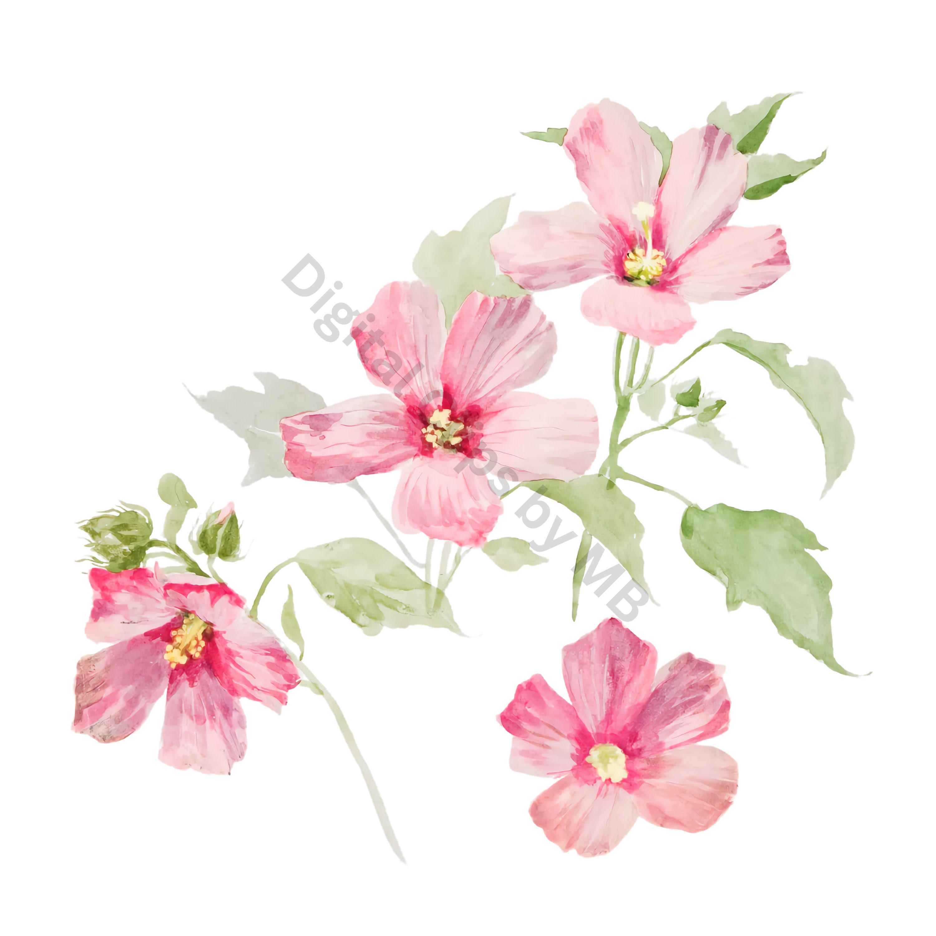 Wildflower Clipart, Watercolor Flowers, Designer PNG Bundle, Floral ...