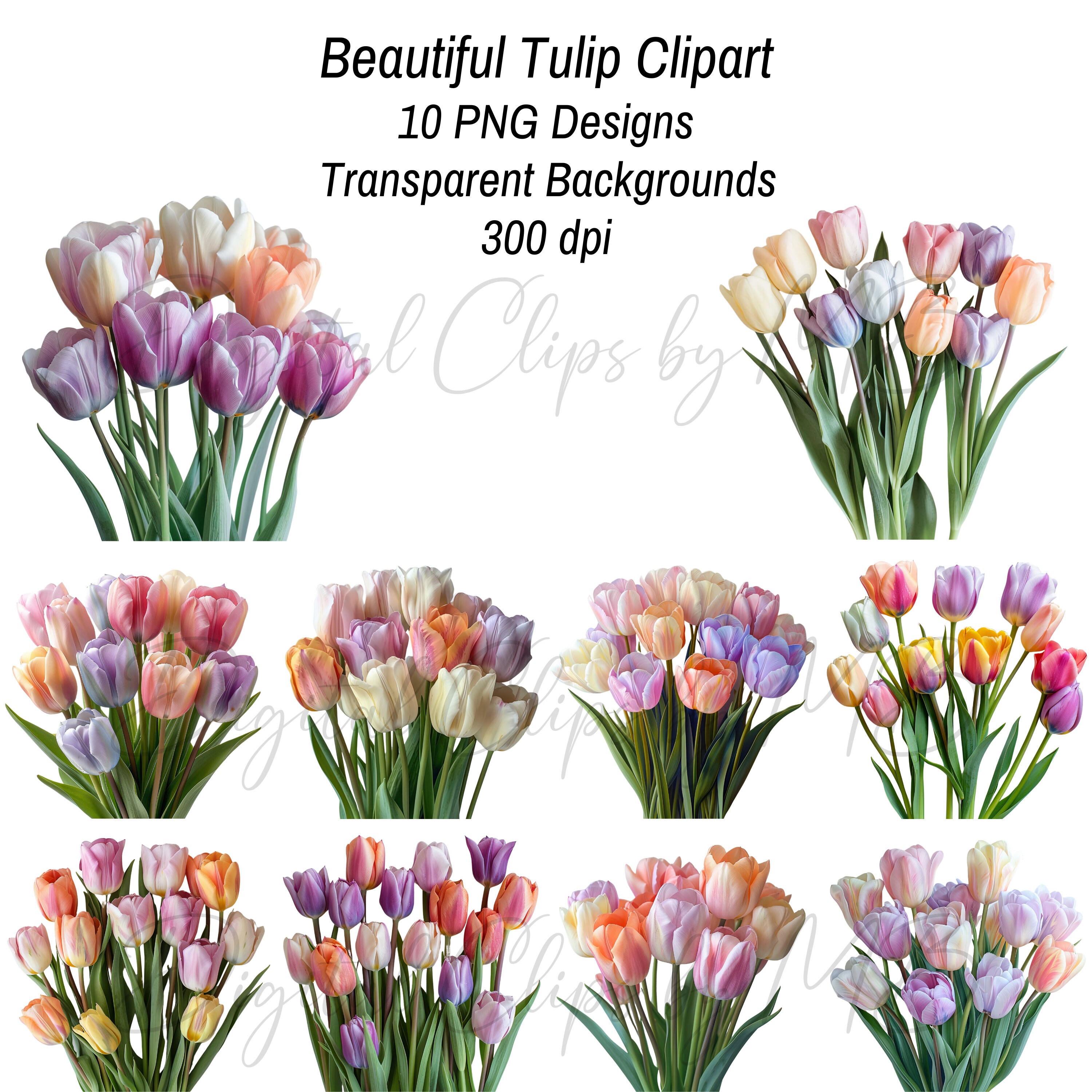 Tulip Clipart, Watercolor Floral PNG Clipart, Watercolor Tulips, Spring ...