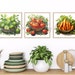 Food Clipart Bundle Watercolor Food Clipart Fruit and - Etsy