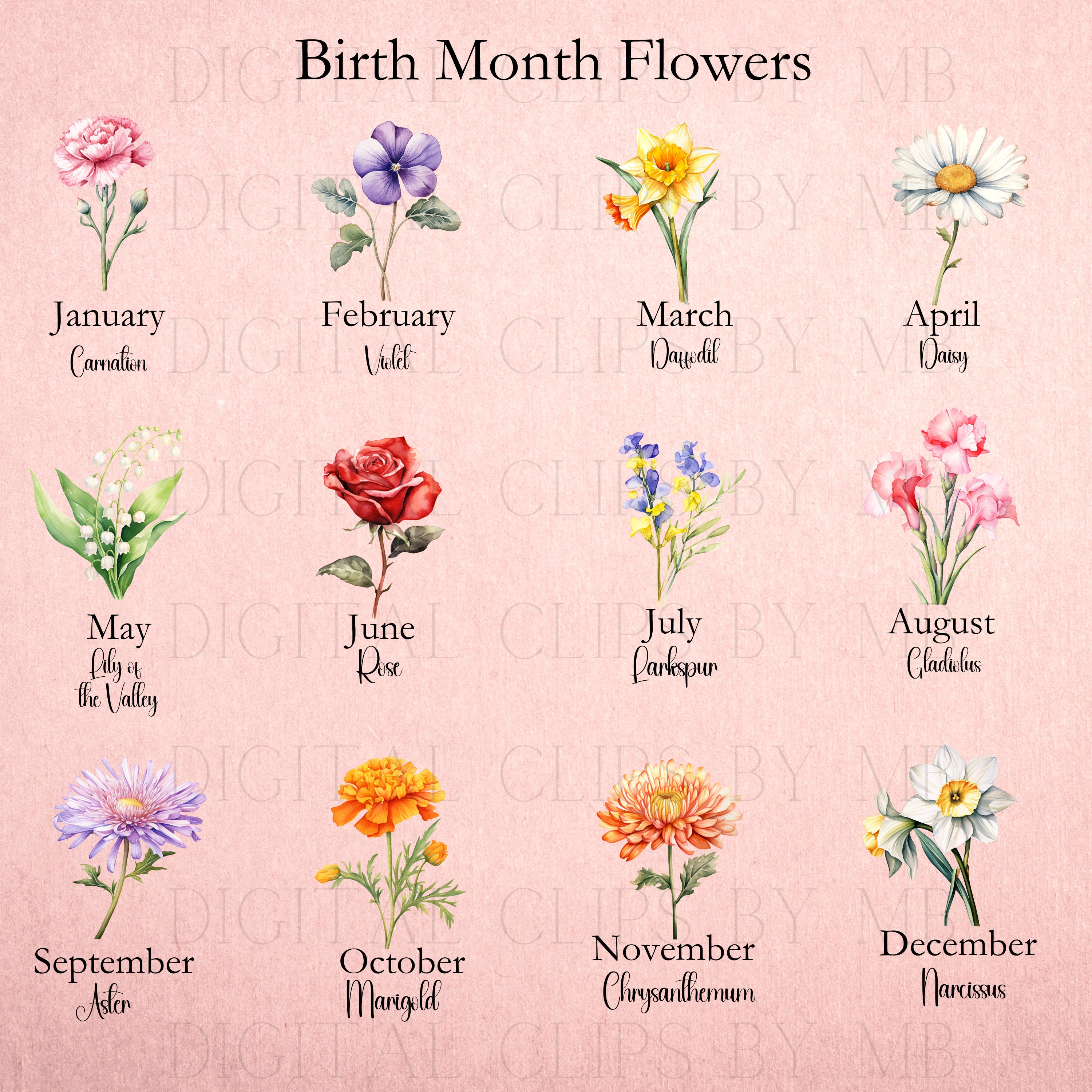 Birthday month flowers store