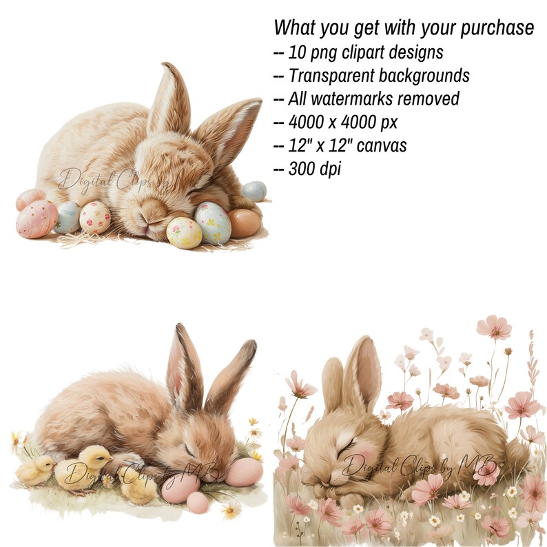 Easter Bunny Clipart, Watercolor of Bunnies PNG for Printing, Easter ...