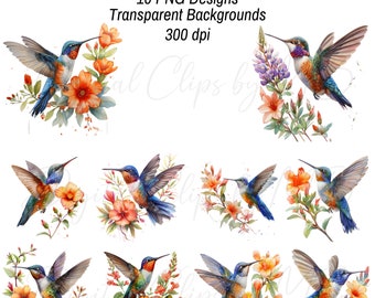 16 Hummingbirds Clipart, PNG, Watercolor Hummingbirds Images Bundle ...