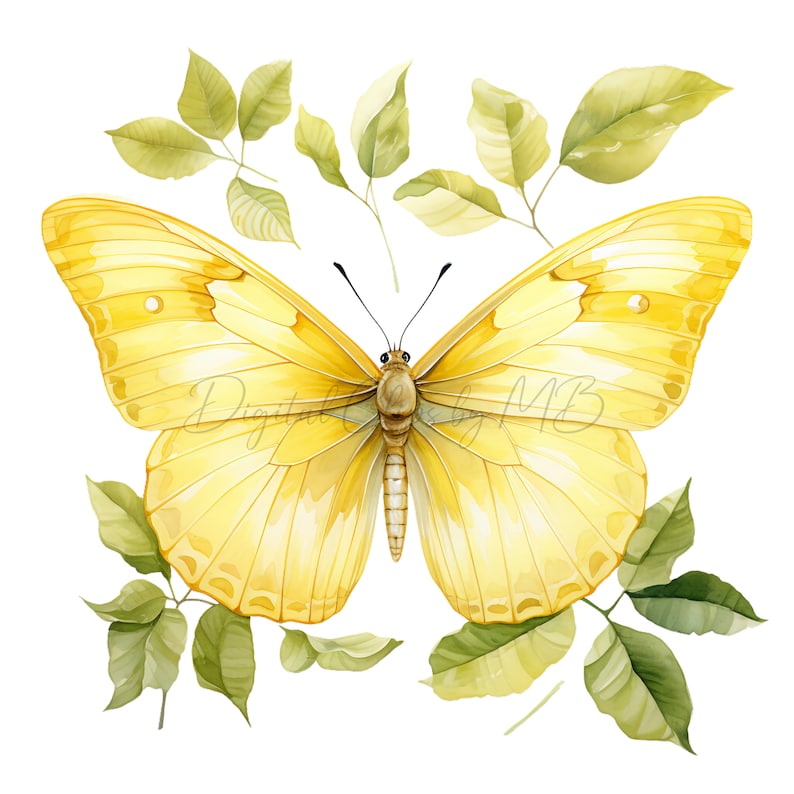 Butterfly PNG, Watercolor Yellow Butterfly Clipart, Watercolor Clipart ...