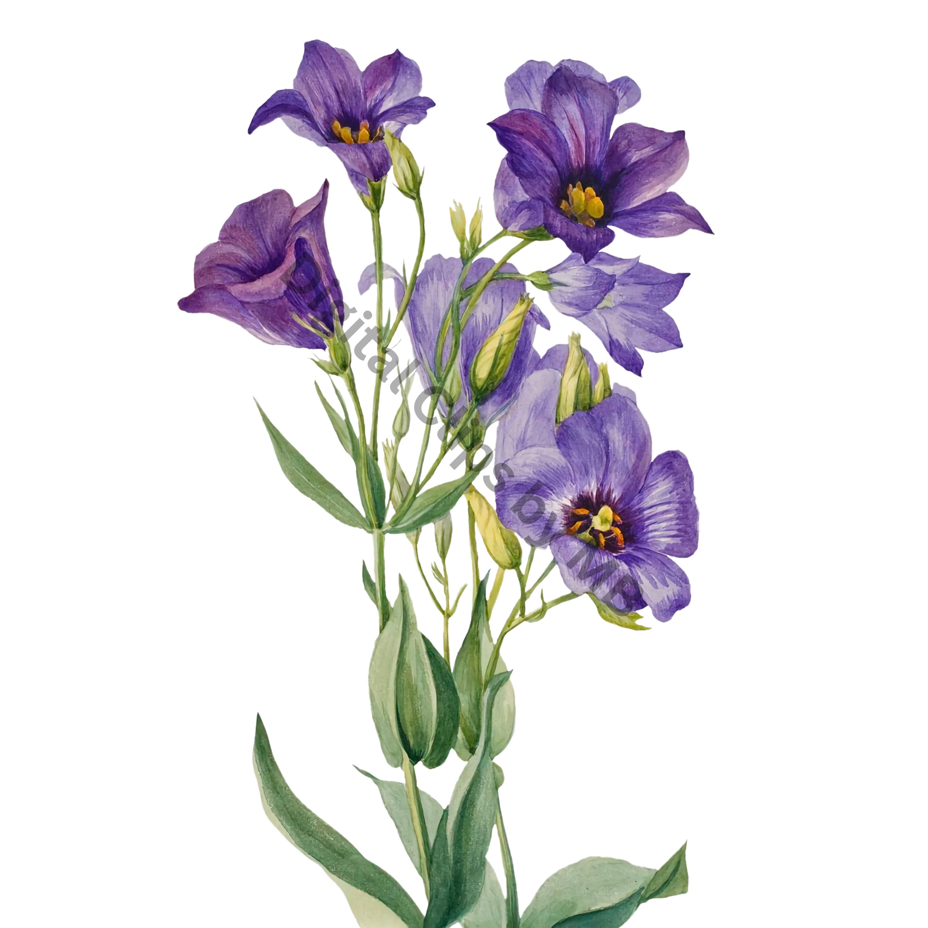 Wildflower Clipart, Watercolor Flowers, Designer PNG Bundle, Floral ...