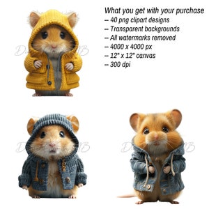 Animal Clipart Bundle, Hamster Clipart Bundle, Cute Hamster PNG Designs ...