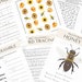 Printable Honey Bee Activities/homeschool Activity Pages/printable ...