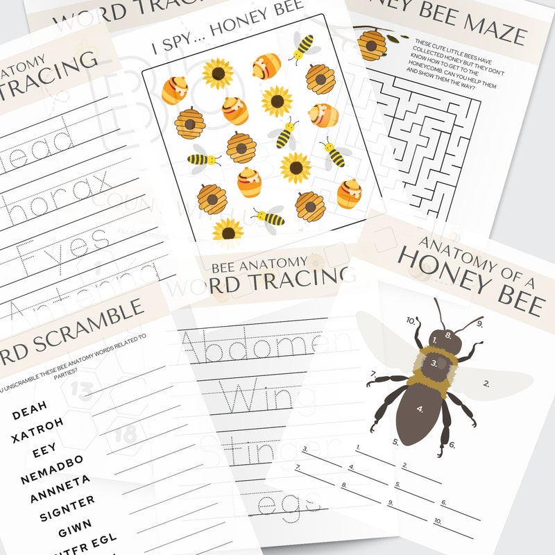 Honey Bee Unit - Etsy