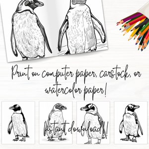 Printable Penguin Coloring Book Pages/adult Coloring Book Pages/kids ...
