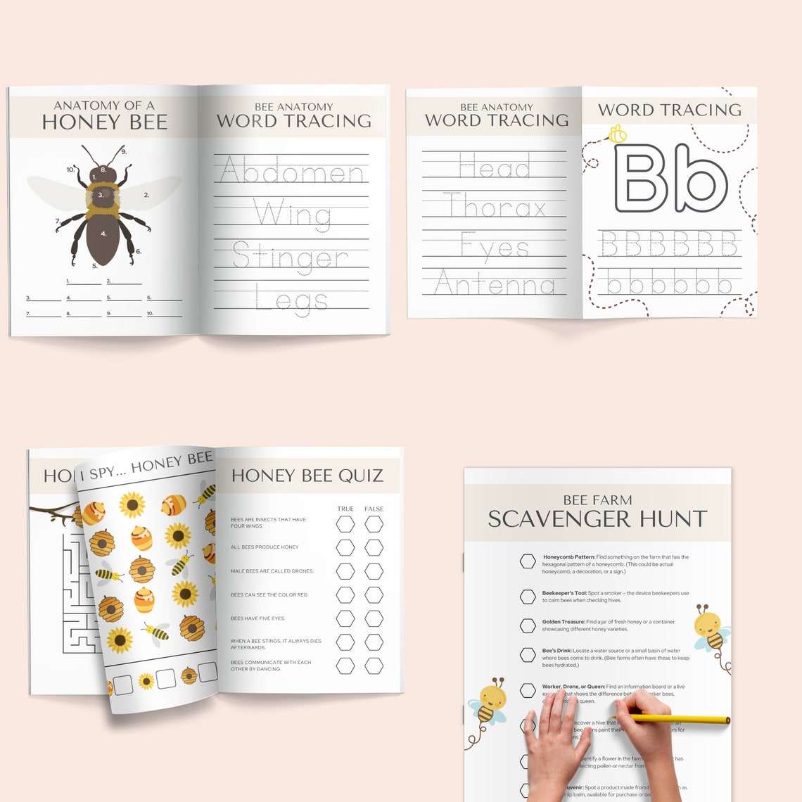 Printable Honey Bee Activities/homeschool Activity Pages/printable ...