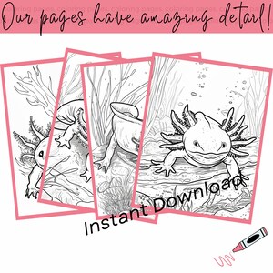 Printable Axolotl Coloring Book Pages/fresh Water Amphibian Coloring ...