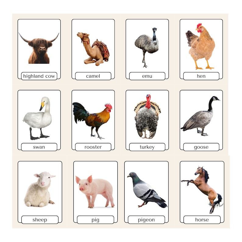 27 Printable Kid's Farm Animals Flash Cards/set of Animal Flash Cards ...