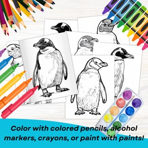 Printable Penguin Coloring Book Pages/adult Coloring Book Pages/kids ...