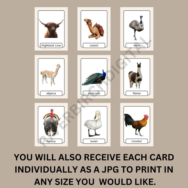 27 Printable Kid's Farm Animals Flash Cards/set of Animal Flash Cards ...