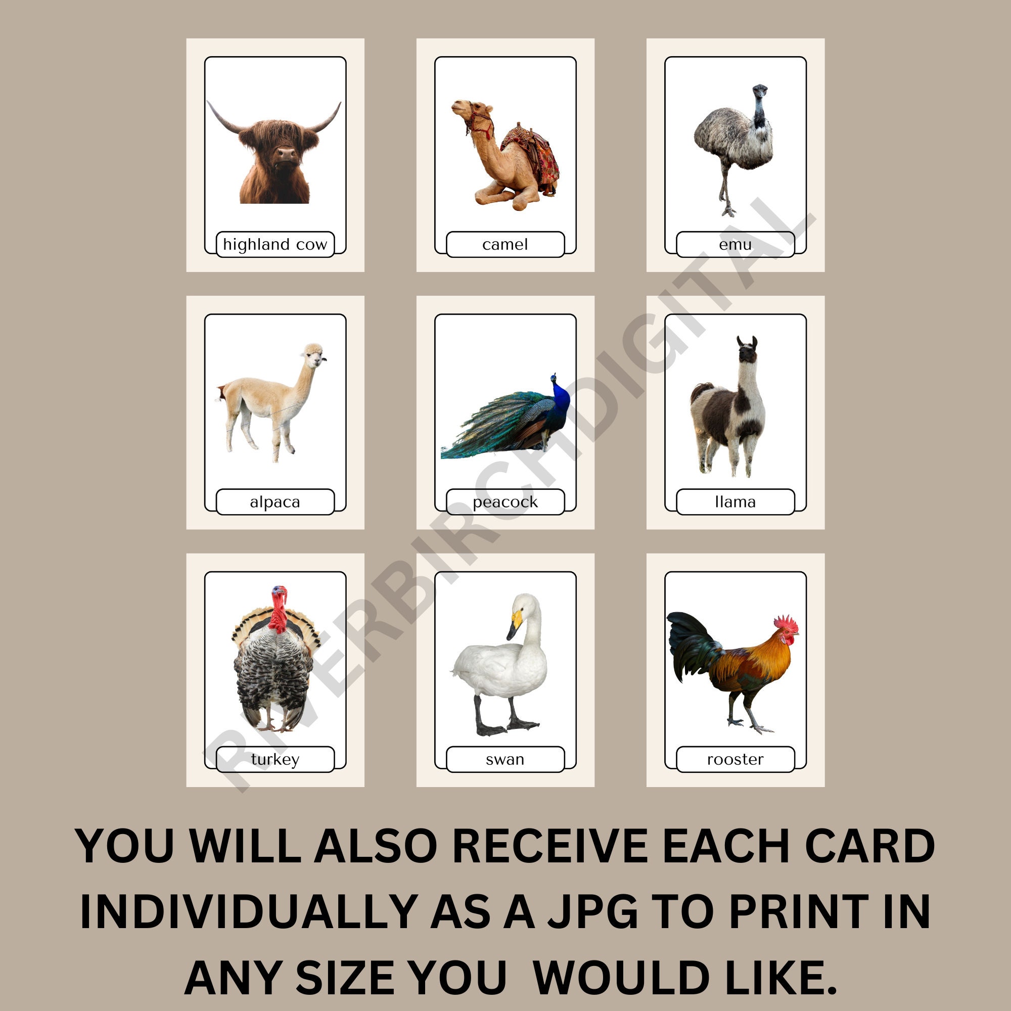 27 Printable Kid's Farm Animals Flash Cards/set of Animal - Etsy Australia