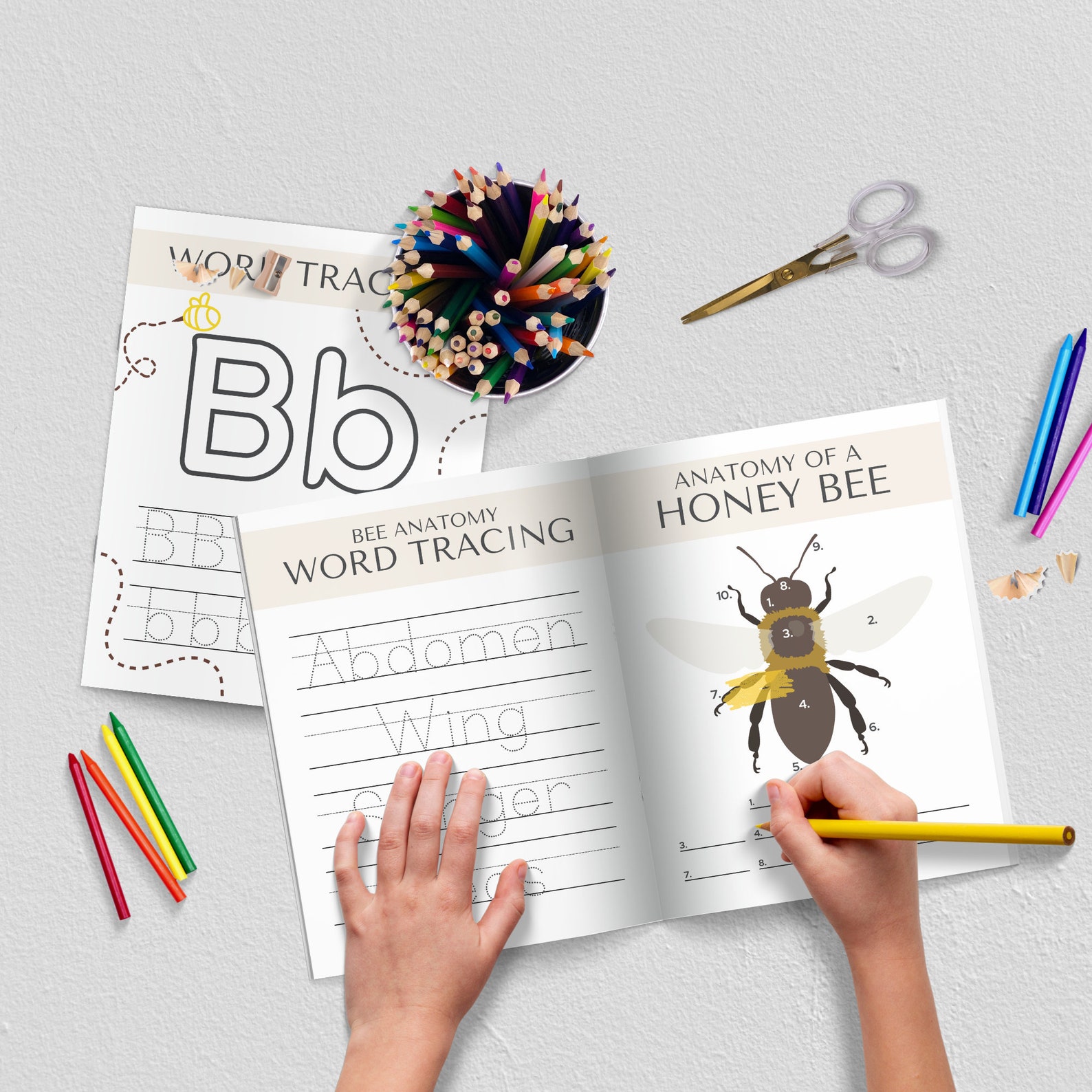 Printable Honey Bee Activities/homeschool Activity Pages/printable ...