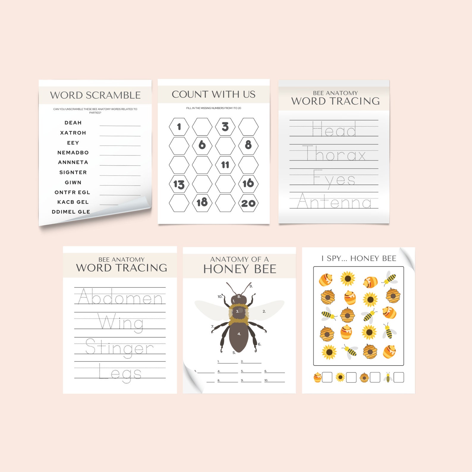 Printable Honey Bee Activities/homeschool Activity Pages/printable ...