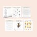 Printable Honey Bee Activities/homeschool Activity Pages/printable ...