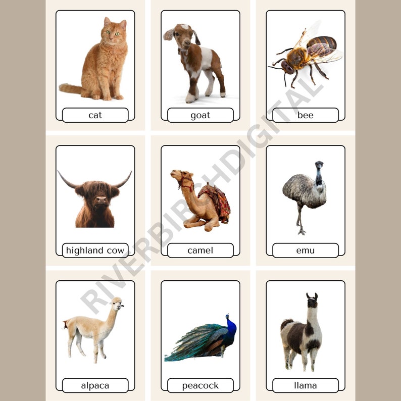 27 Printable Kid's Farm Animals Flash Cards/set of Animal Flash Cards ...