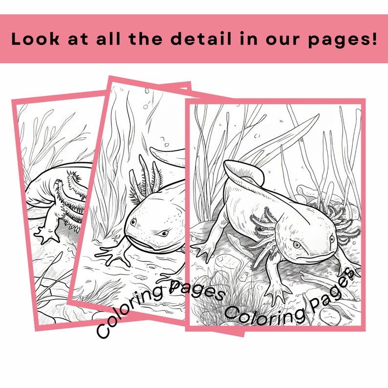 Printable Axolotl Coloring Book Pages/fresh Water Amphibian Coloring ...