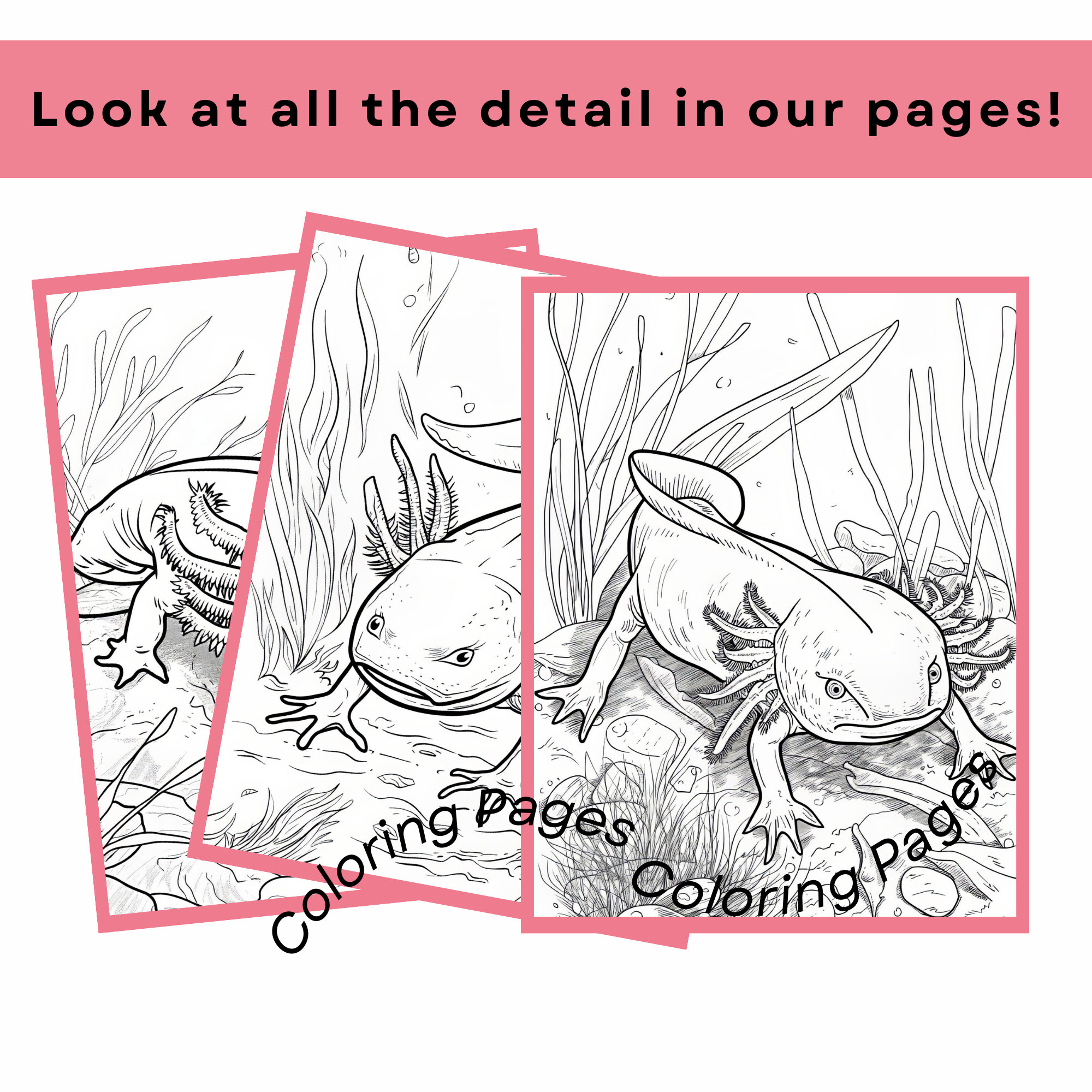 Printable Axolotl Coloring Book Pages/fresh Water Amphibian Coloring ...