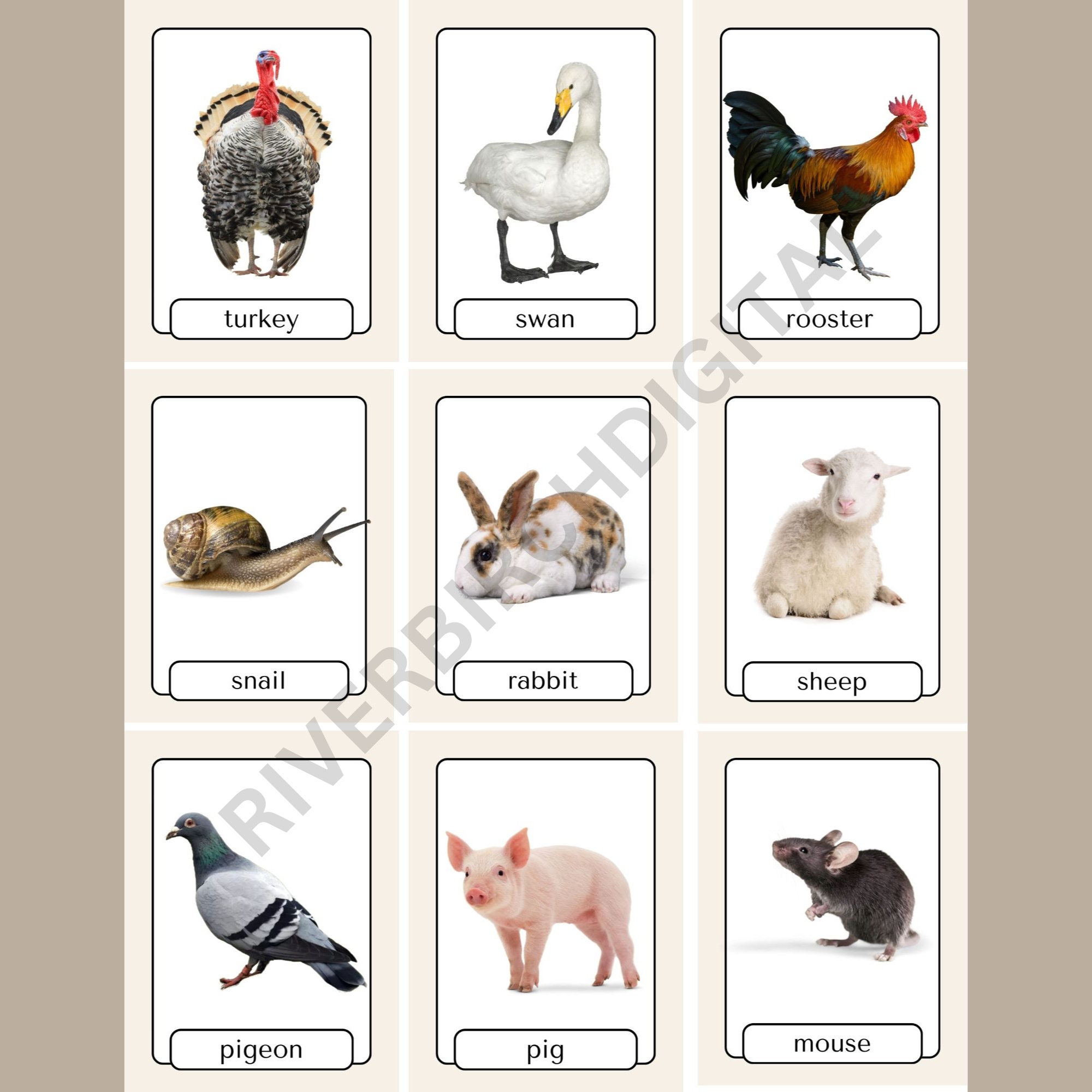 27 Printable Kid's Farm Animals Flash Cards/set of Animal - Etsy Australia