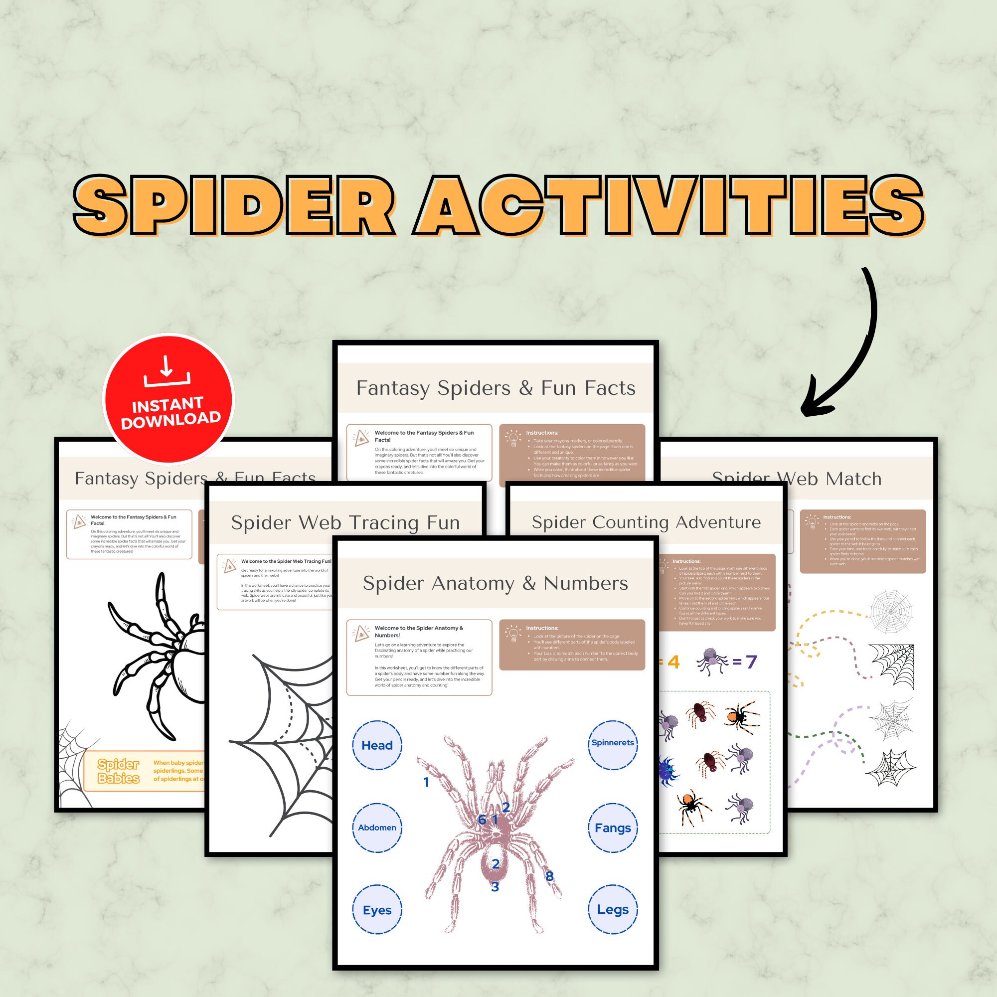 Printable Spider Activities/printable Preschool Activity Pages ...