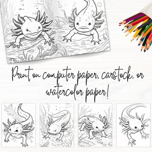 Printable Axolotl Coloring Book Pages/fresh Water Amphibian Coloring ...