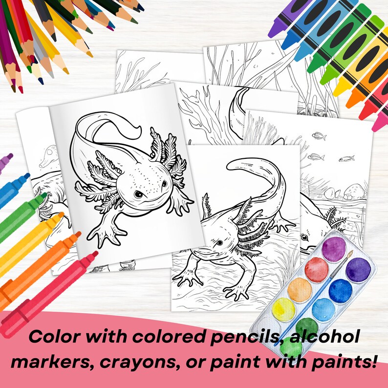 Printable Axolotl Coloring Book Pages/fresh Water Amphibian Coloring ...