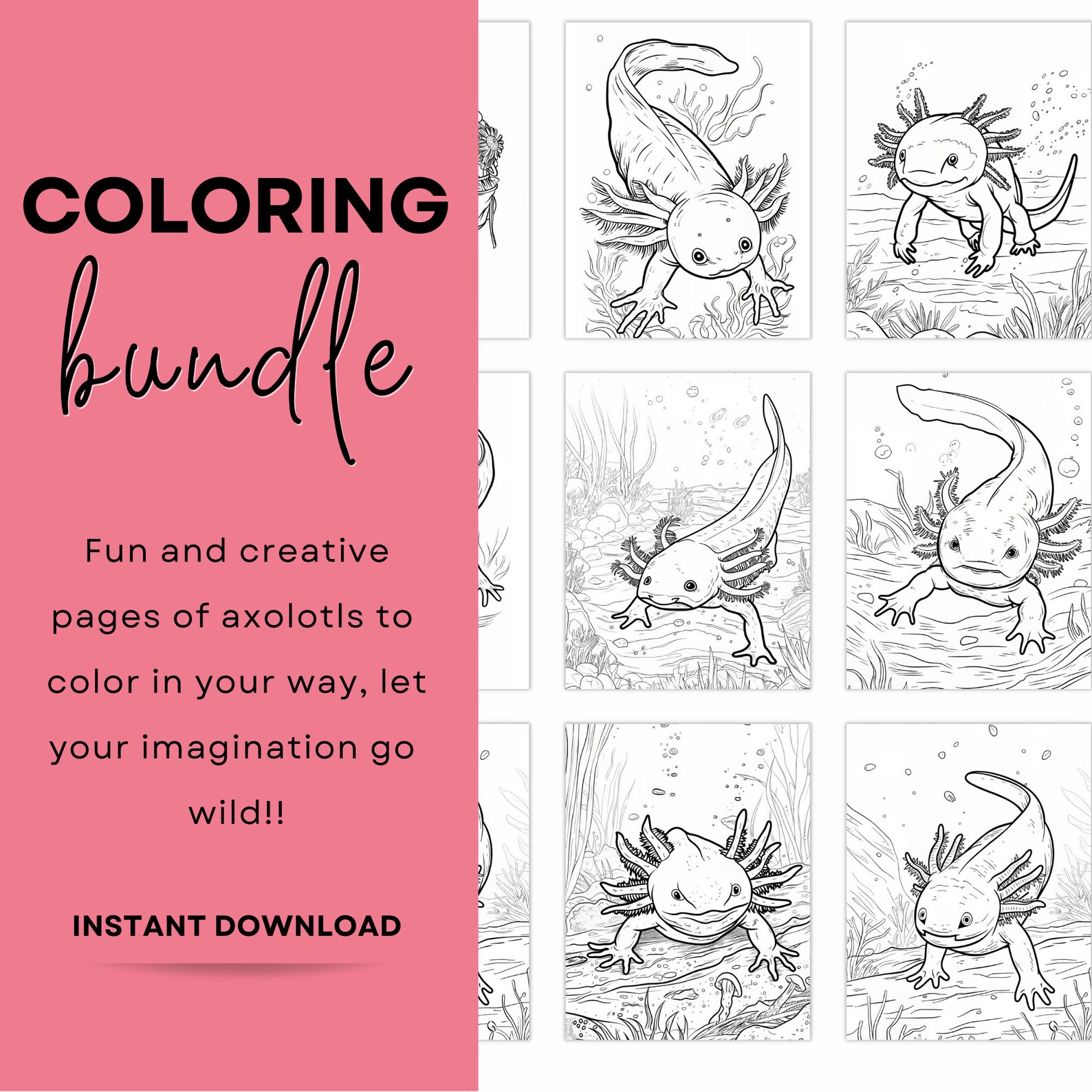 Printable Axolotl Coloring Book Pages/fresh Water Amphibian Coloring ...
