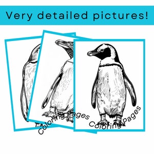 Printable Penguin Coloring Book Pages/adult Coloring Book Pages/kids ...