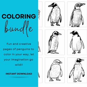 Printable Penguin Coloring Book Pages/adult Coloring Book Pages/kids ...