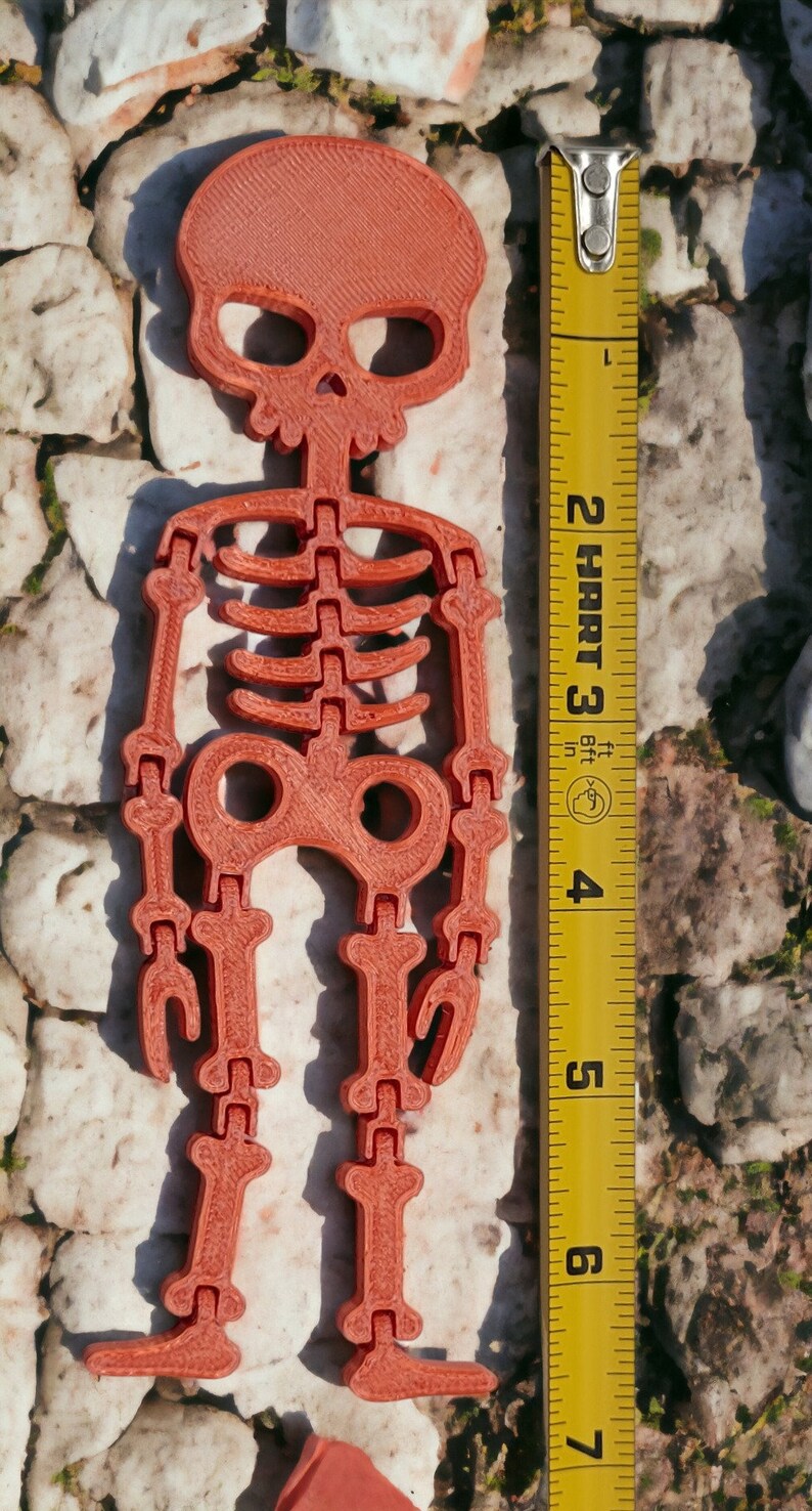 Flex Alien Skeleton - Etsy