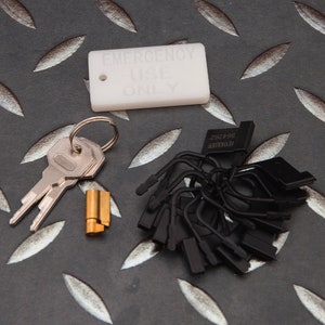 MATURE White Cage Key CONTAINERS LIGHTWEIGHT Cage Key Safe Cage ...