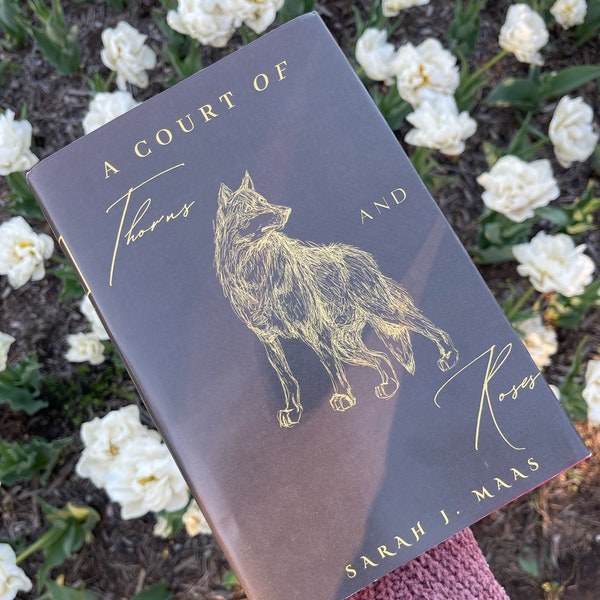 Acotar Dust Jacket Set - Etsy