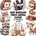 Cute Baby Safari Clipart Bundle Safari Animal PNG Watercolor Safari ...