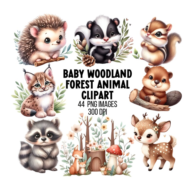 Forest Animals Clipart - Etsy