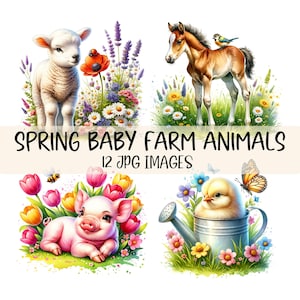 Baby Farm Animals Clipart Bundle JPG Images Cute Spring Animal Clipart ...