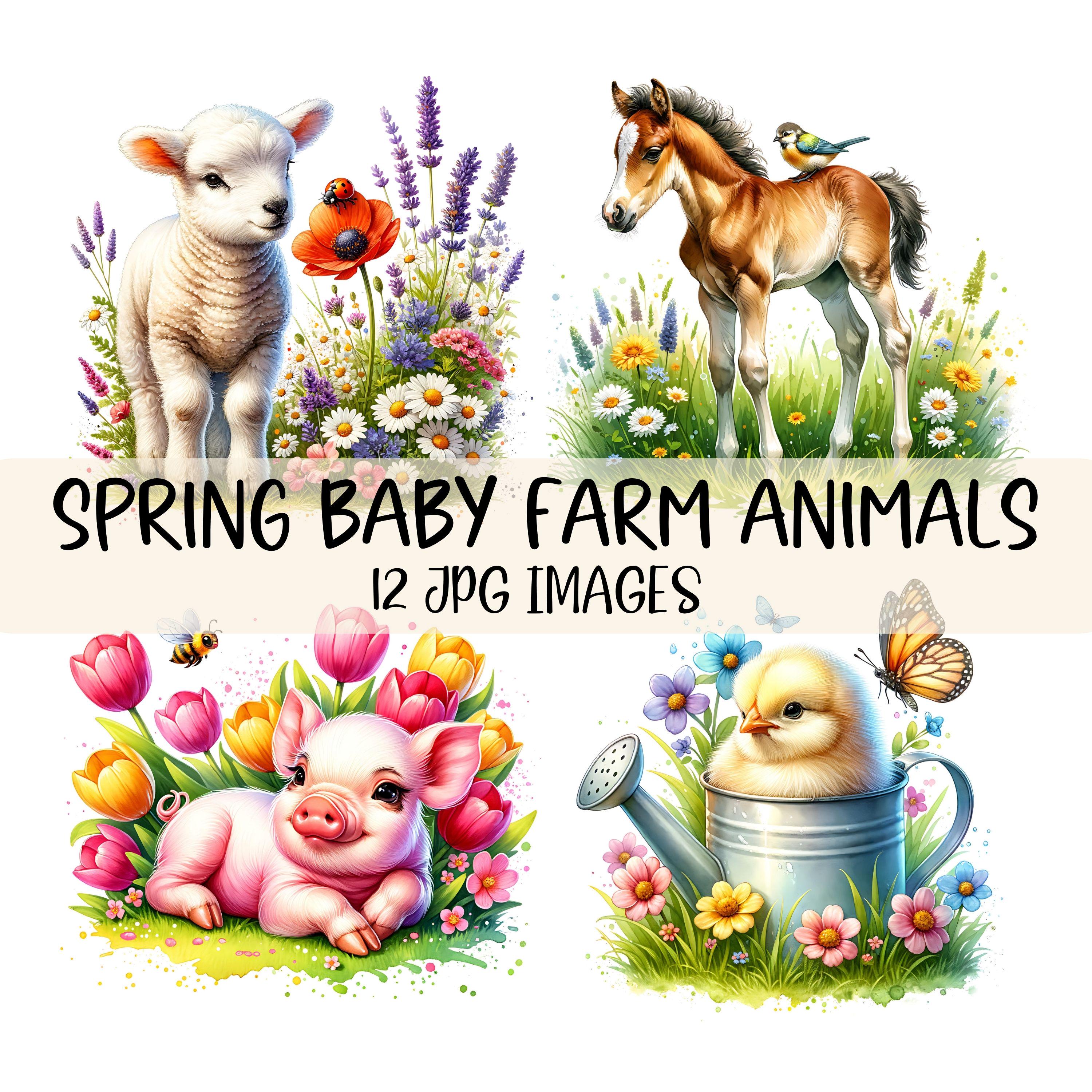 Baby Farm Animals Clipart Bundle JPG Images Cute Spring Animal Clipart ...