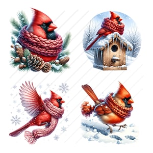 Christmas Red Cardinal Clipart Bundle Winter Bird JPG Red Cardinal Snow ...