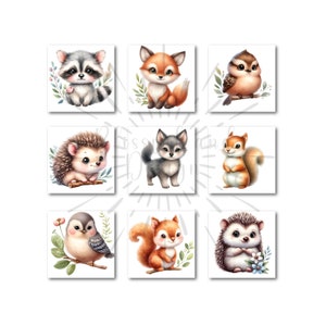 Cute Baby Woodland Animals Clipart Bundle Forest Animals PNG Watercolor ...